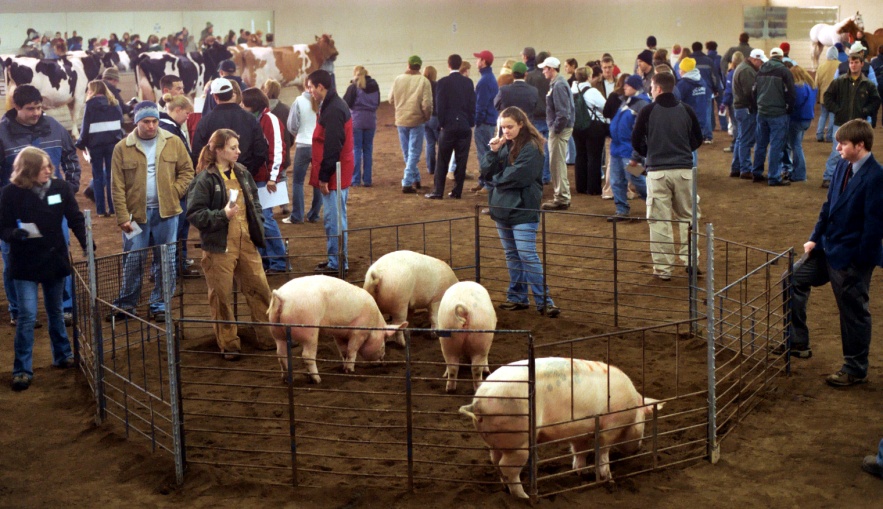 Rutgers Hosts 2013 Animal Science Competition Feb. 23 : Newsroom