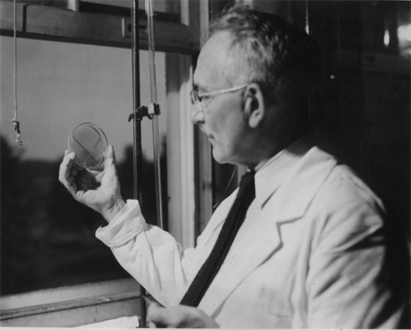 SEBS Staff Rewind Time as Book Club Discusses Schatz-Waksman ...