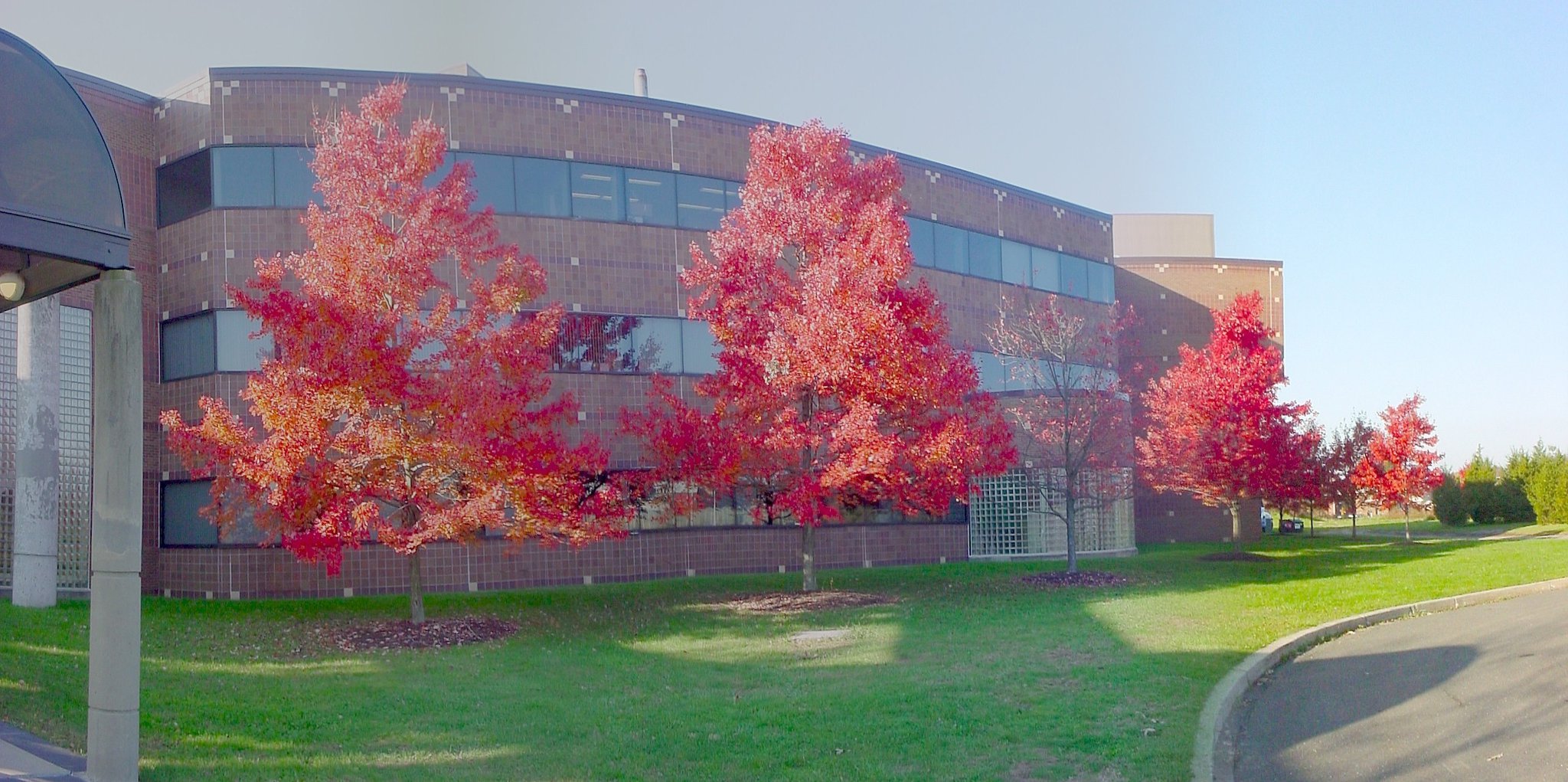 Professor Emeritus Arthur W. Edwards (1932-2013) : Newsroom