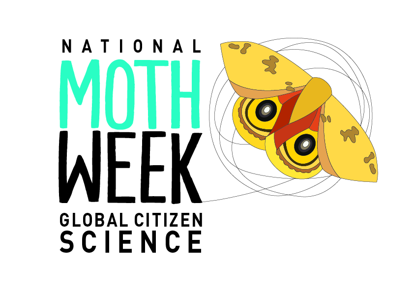 Rutgers Personnel by Day, Moth-ers by Night: Gearing up for Third ...