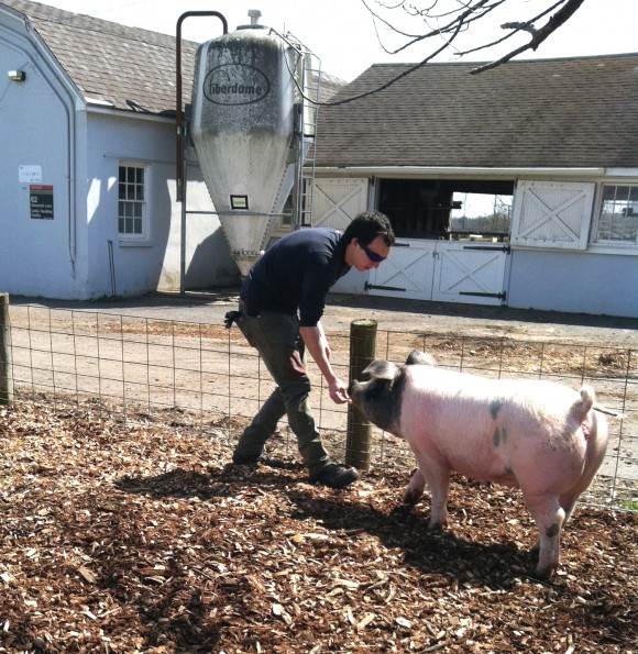 SEBS Animal Science Student Selected for National Scholarship : Newsroom