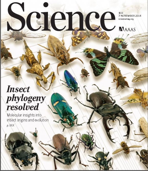 Of Dragonflies and Dinosaurs: Rutgers Researchers Help Map Insect ...