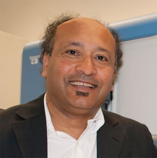 Do Pathogens Hold The Key to Understanding the Origin of Eukaryotes ...