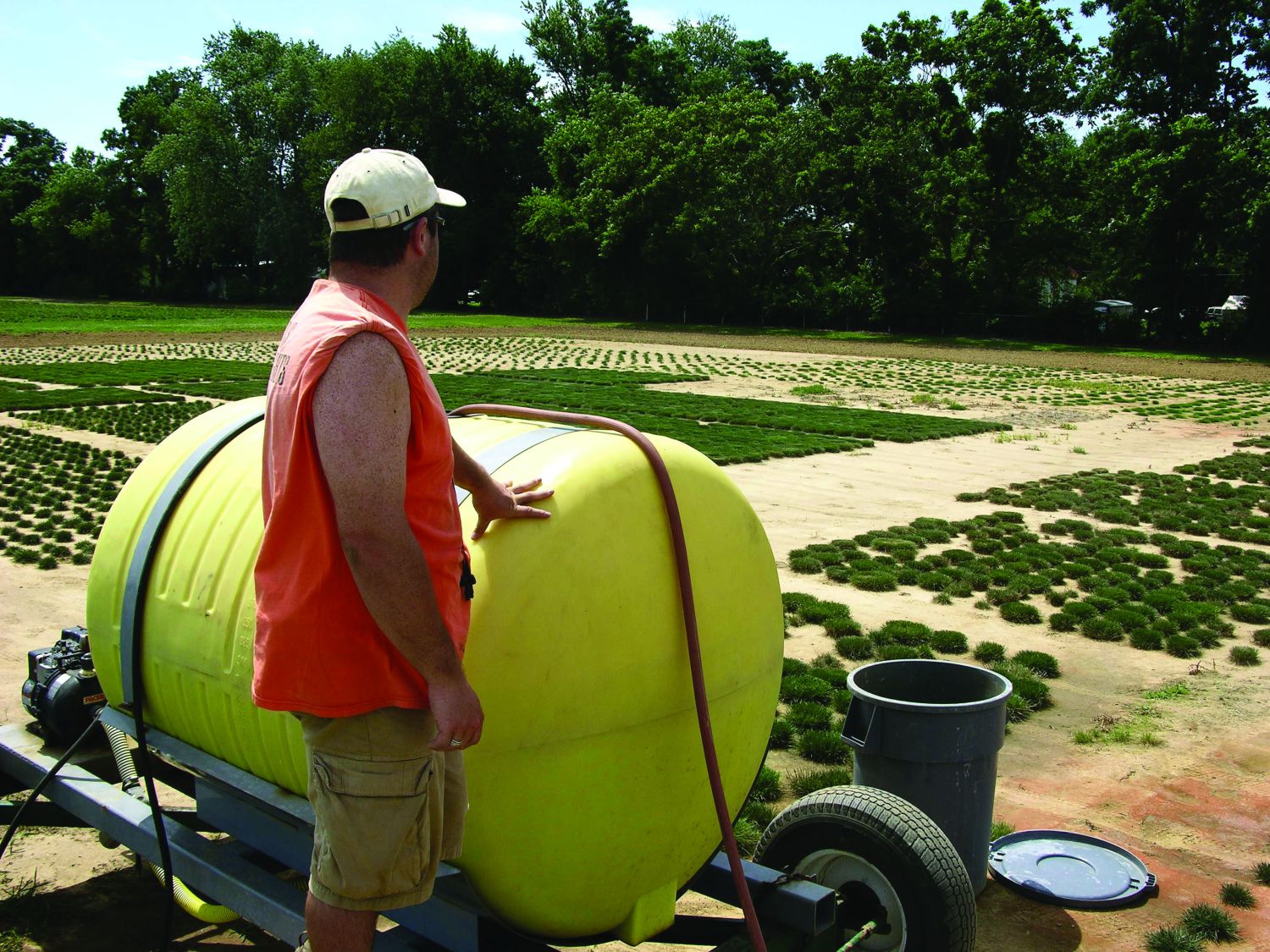 Rutgers Scientists Breeding Turfgrass That Can be Irrigated with ...