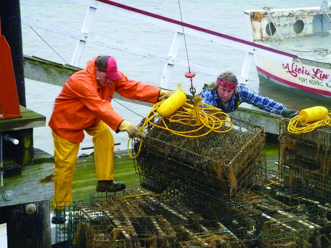 Rutgers Researchers Working to Make Shellfish Aquaculture a Priority ...
