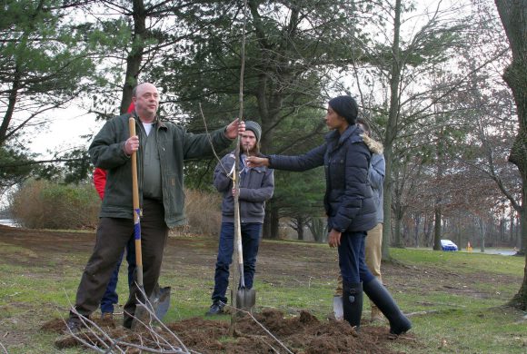 Urban Forestry: A Career for the City Tree Hugger! : Newsroom