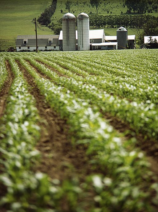 RU Ready to Farm™: Learn Production Methods and Systems for Commonly ...