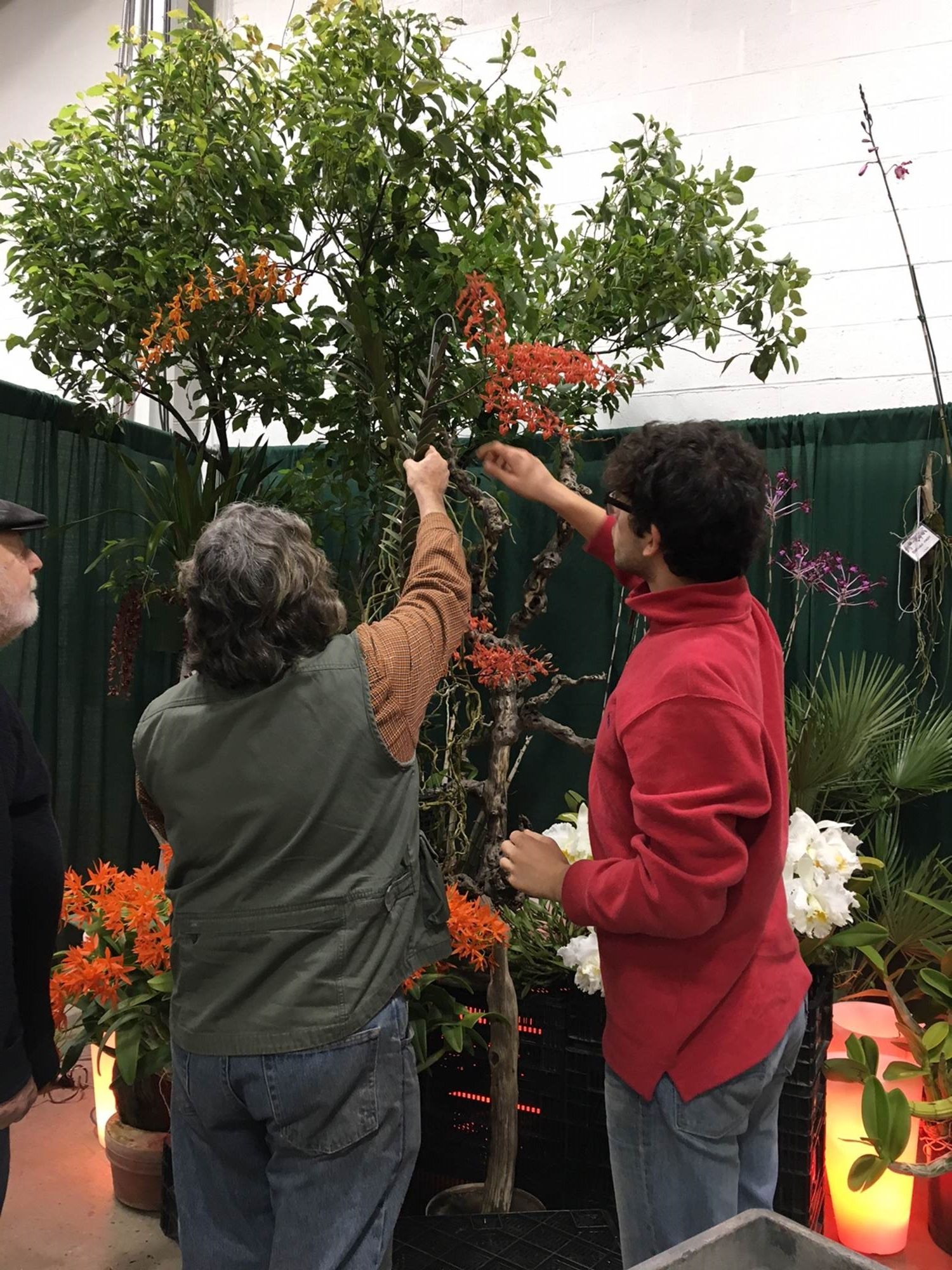 Rutgers Was All the “RAGE” on the 2017 Flower Show Circuit : Newsroom