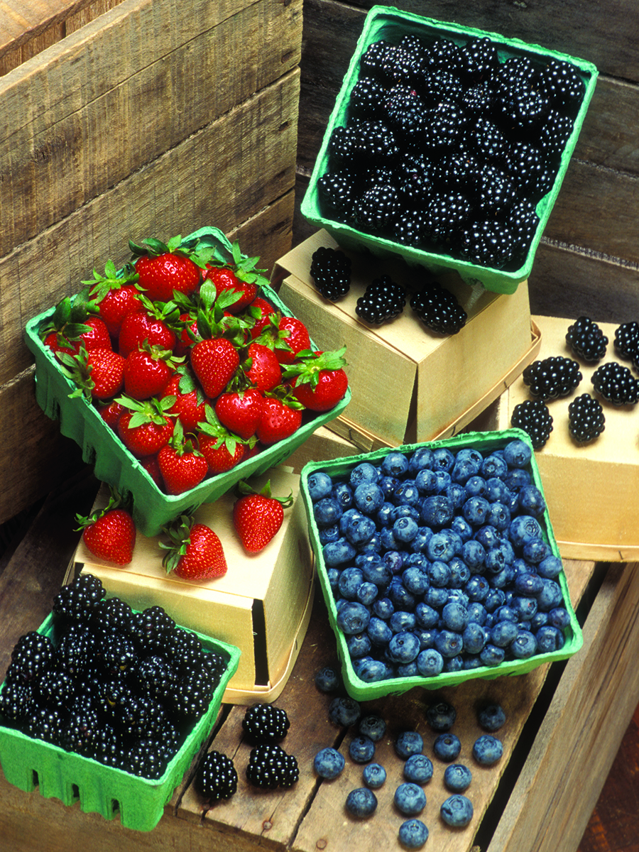 Eat Berries to Improve Brain Function : Newsroom