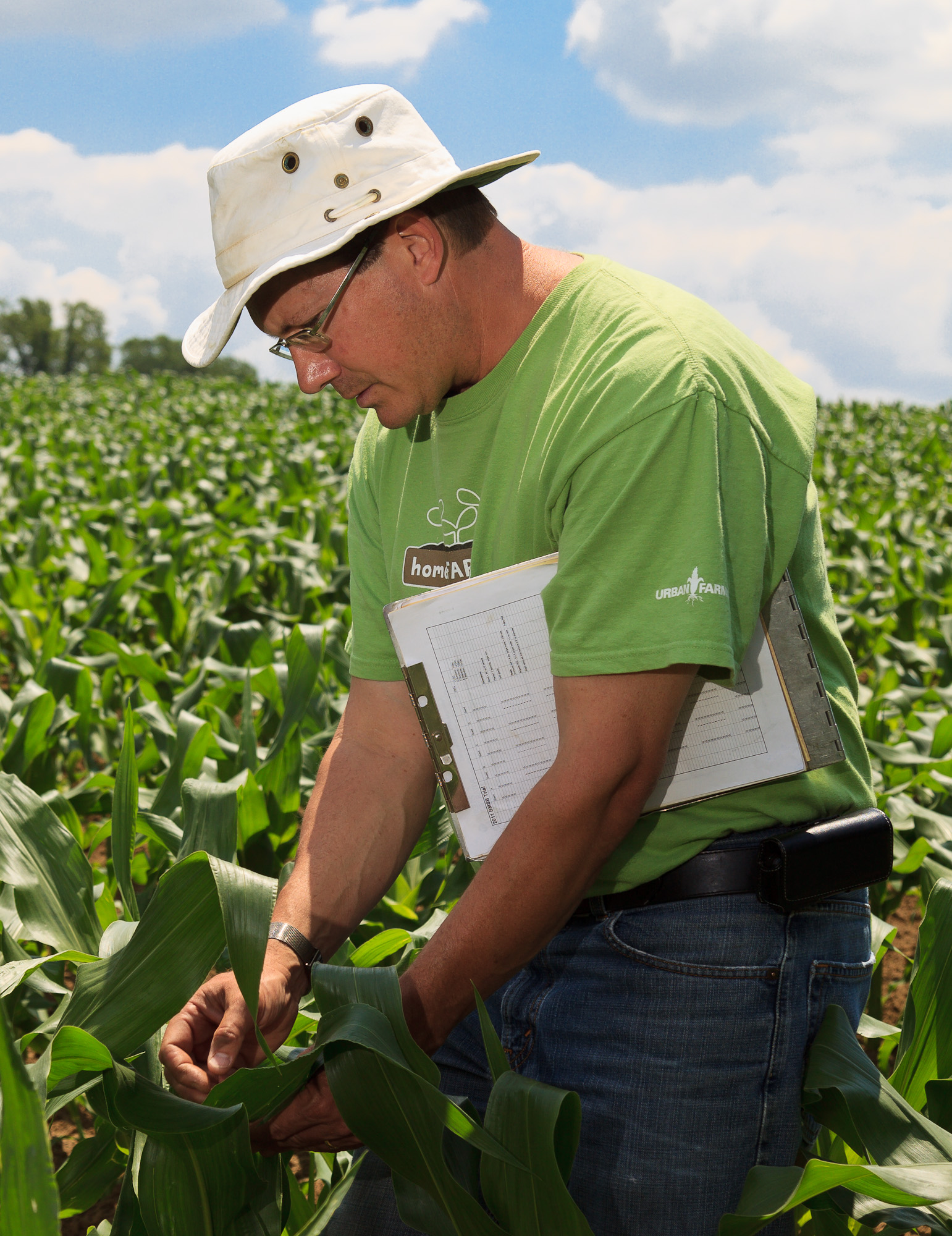 Study Shows Bt-Field Corn Results in Reduced Pest Pressure in Other Non ...