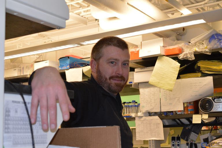 Jeff Boyd Wins Prestigious Early CAREER Award From NSF : Newsroom