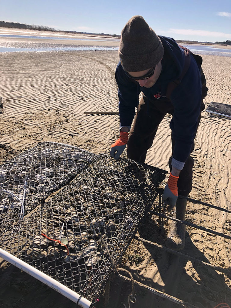 Haskin Lab Awarded NOAA Grants to Enhance Coastal Bivalve Aquaculture ...