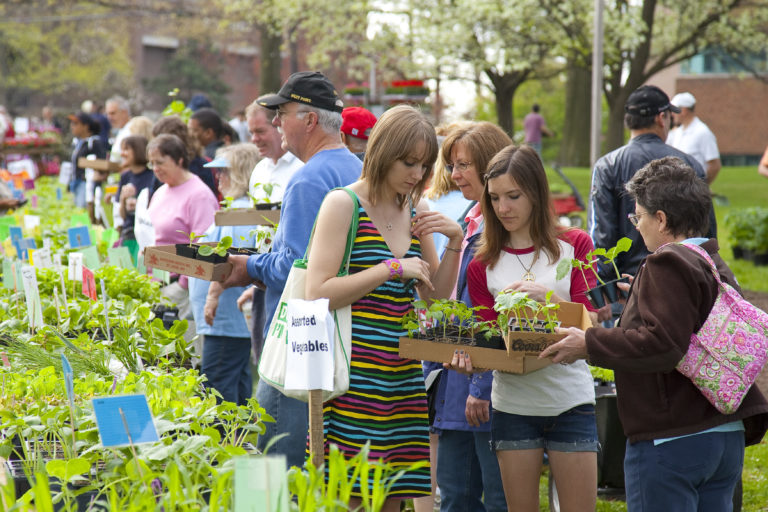 An Ag Field Day Favorite: Plant Sales : Newsroom