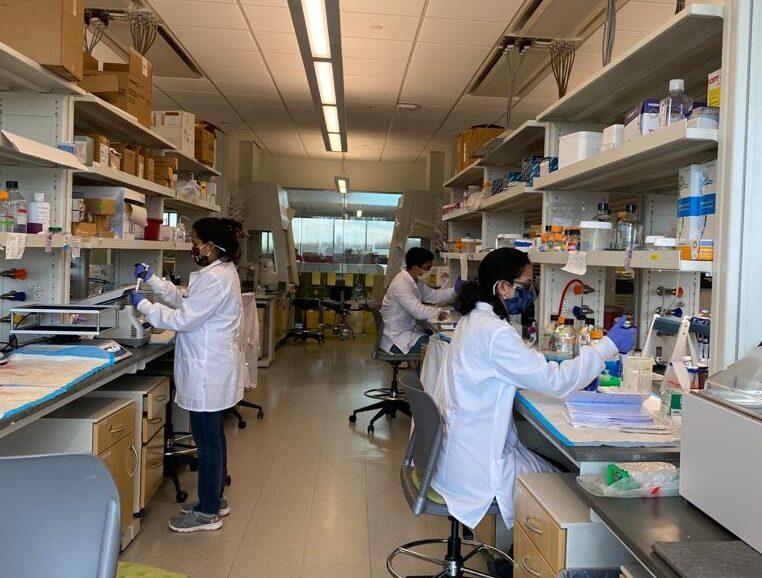 Second Annual IFNH Research Day Goes Virtual and Addresses New and ...