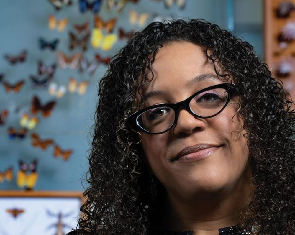 Madame Butterfly: Jessica Ware (GSNB’08-Entomology) : Newsroom