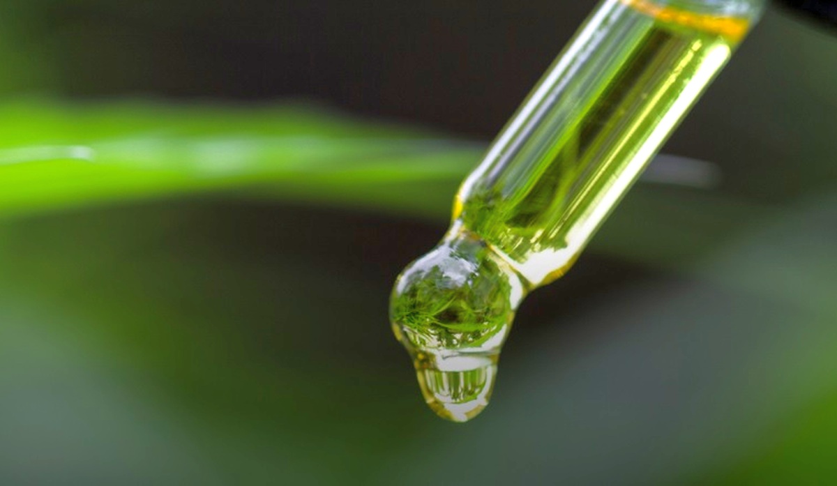 Study by Asst. Professor Diana Roopchand Shows Cannabidiol May be a ...