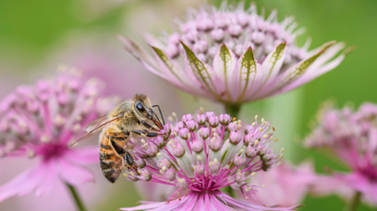 Rutgers-led Study on Bees Shows How Different Species Pollinate the ...