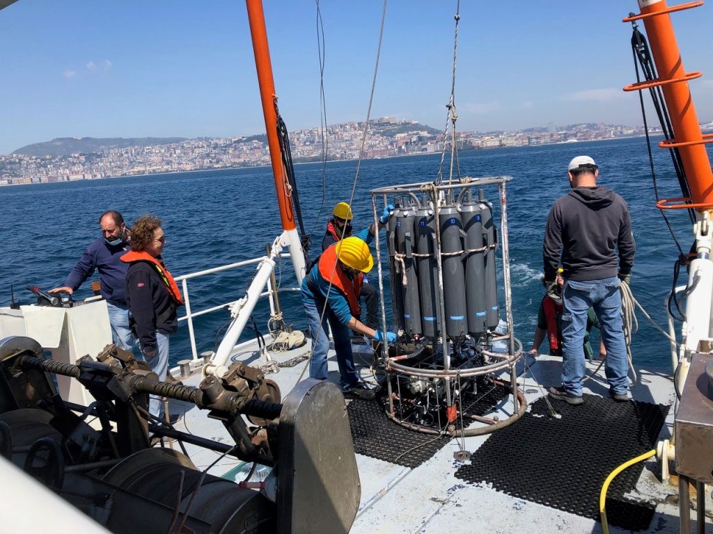 Understanding the Impact of Marine Viruses on the Ocean’s Carbon Cycle ...