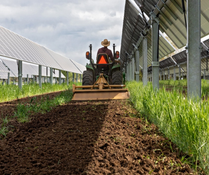 Rutgers Agrivoltaics Program Partners with NJBPU in Dual-Use Solar ...