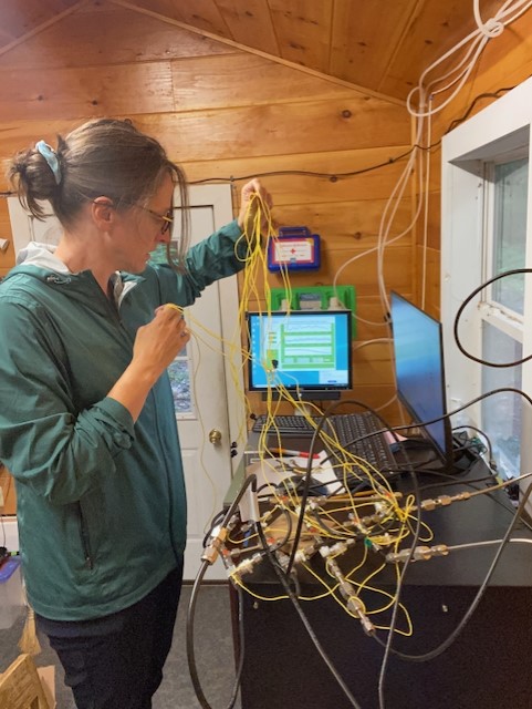 SEBS Faculty Mary Whelan Wins Prestigious NSF CAREER Award : Newsroom