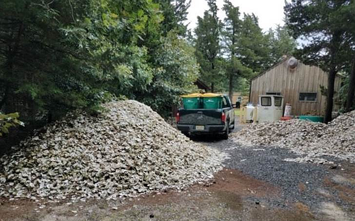 Oyster Recycling Programs are Coming Out of Their Shell : Newsroom