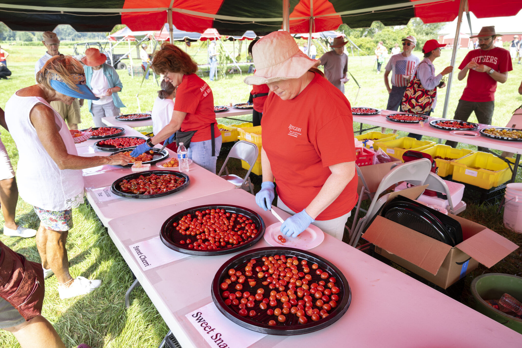 Rutgers Synder Farm Hosts 2023 Open House and Tomato Tasting : Newsroom