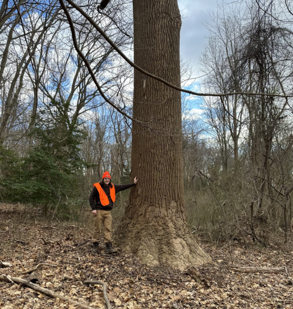 Transfer Student Augustus Haas (SEBS’25) Exploring the Landscape of Urban Forestry : Newsroom