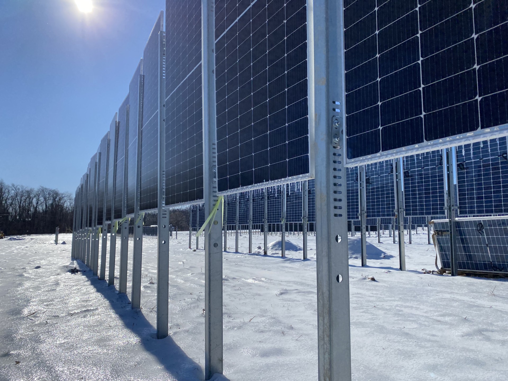 Rutgers Tests Renewable Energy System for Agrivoltaics Project on Cook ...