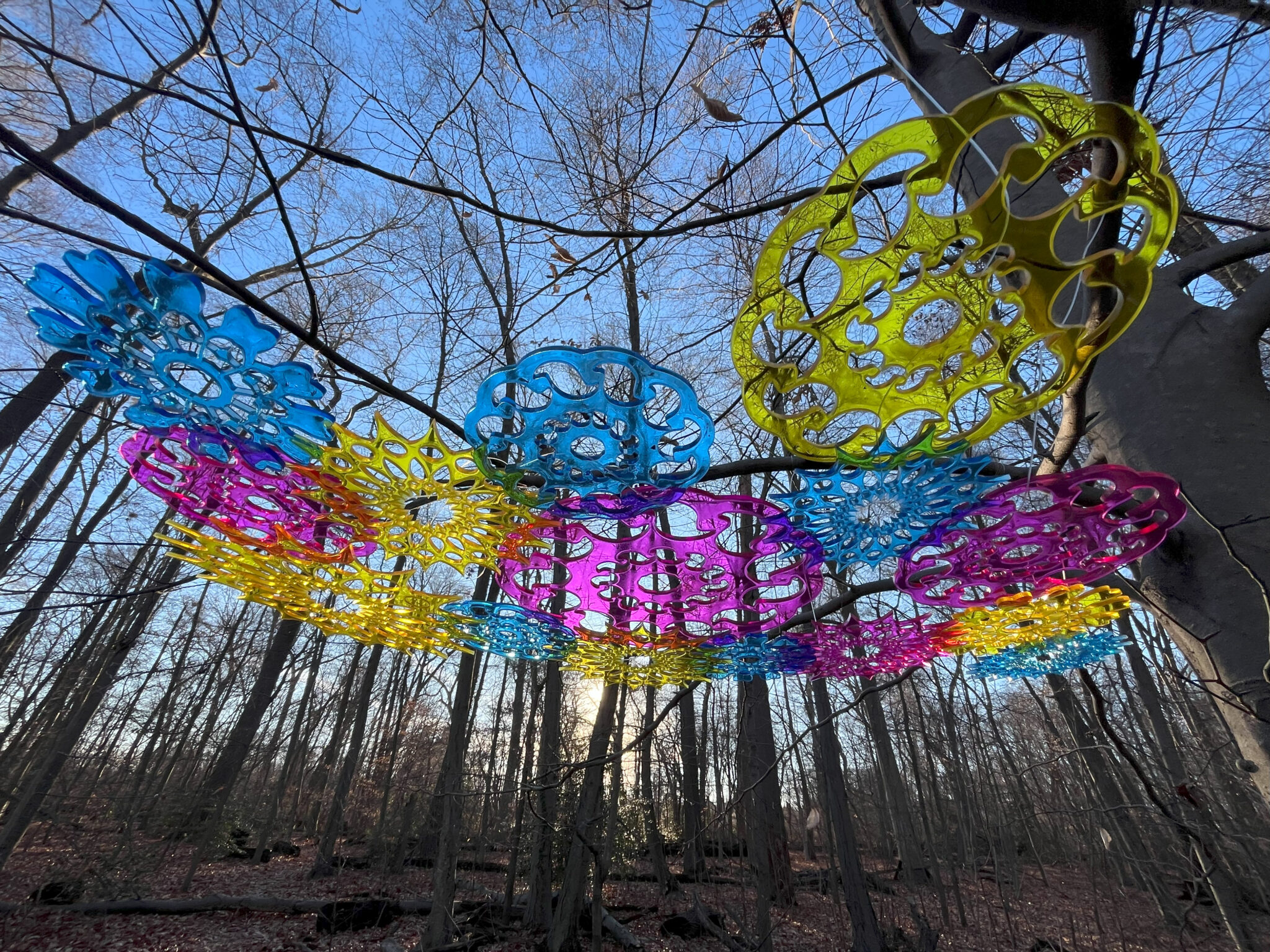 “Chromatic Canopies,” a Student-Created Public Art Installation in ...