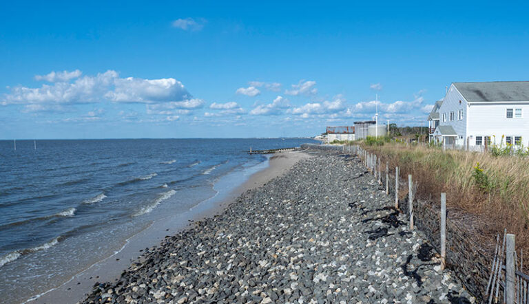 The Most Cost-Effective Approaches to Protect Against Rising Seas Are ...