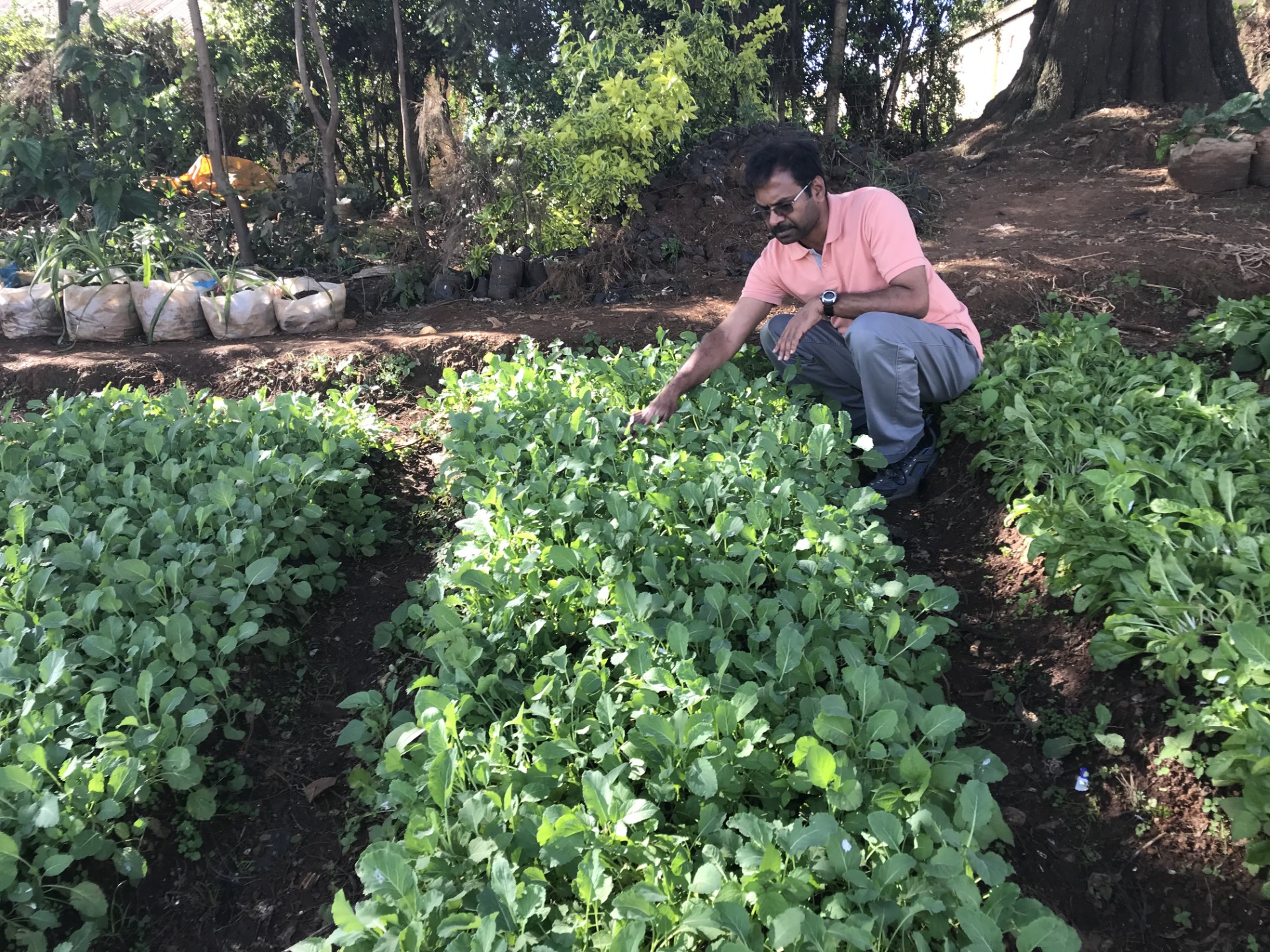 New Tariffs and Their Impact on the U.S. Food Industry: A Closer Look at Produce and Wine in New ...