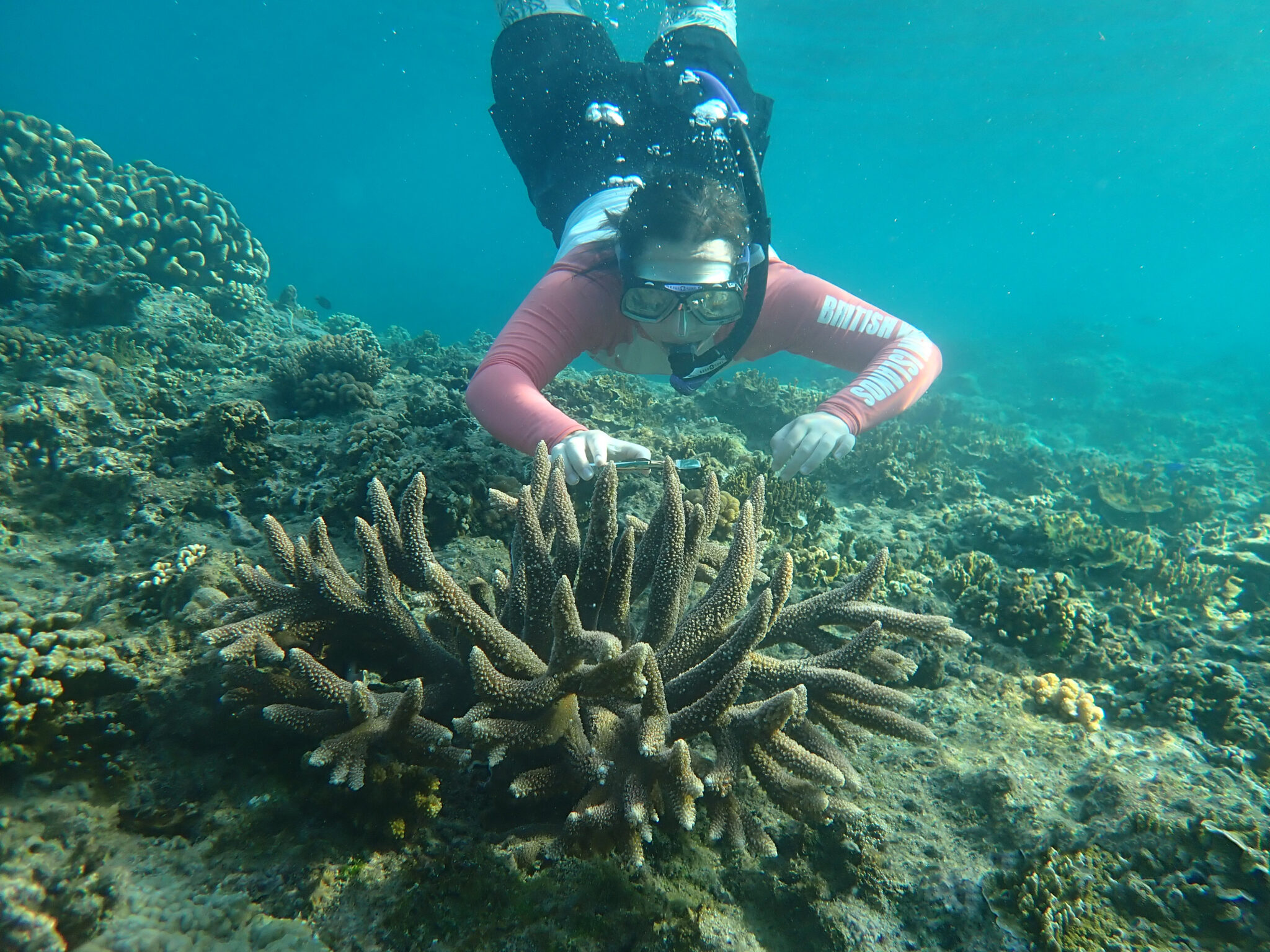 Rutgers Researchers Chart Next Steps for Developing Lateral Flow COVID ...