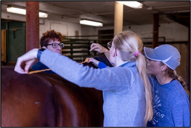 Professor and Founding Director of the Rutgers Equine Science Center ...